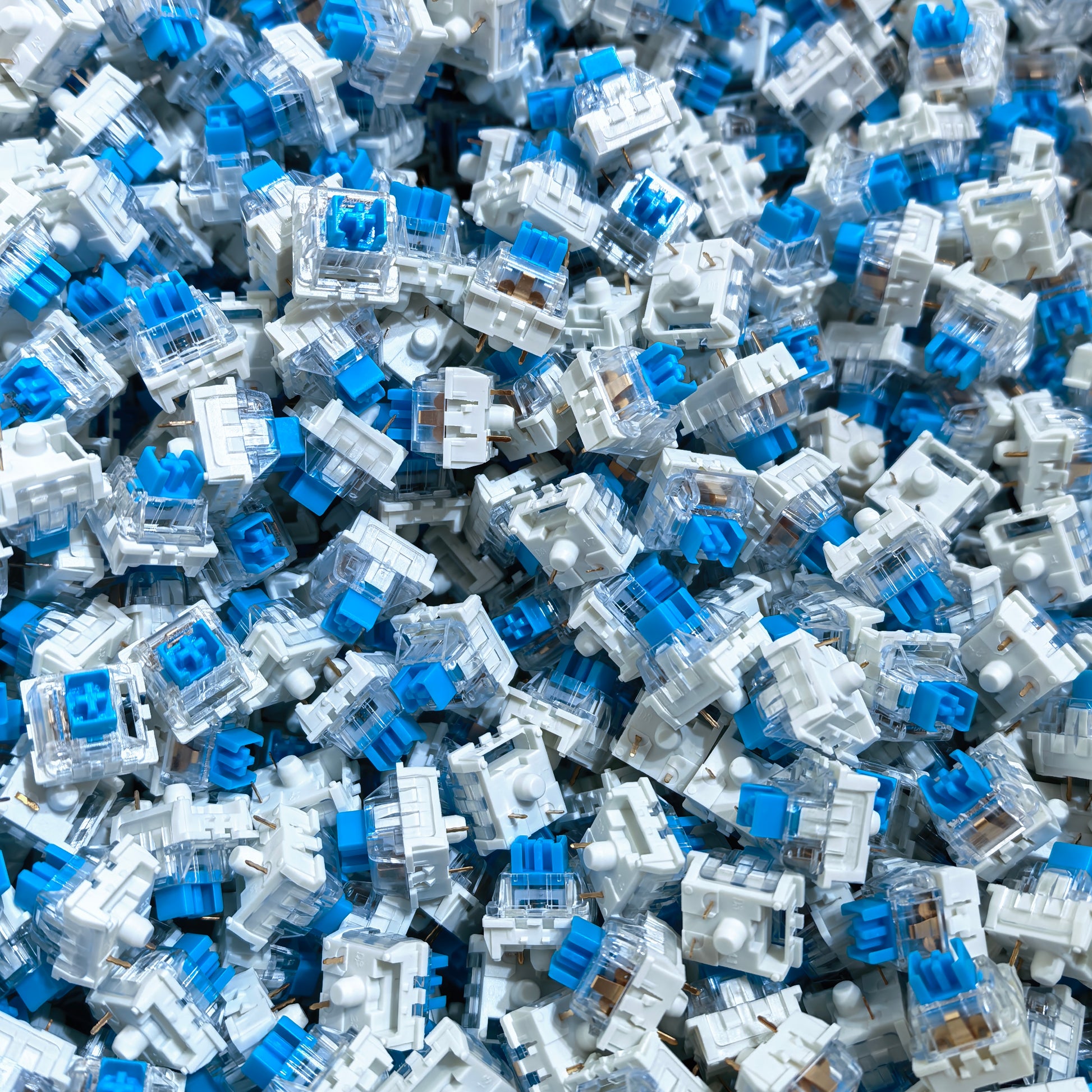 Blue Clicky Switch for clickers (for fidget Buyers only) – creativenestph